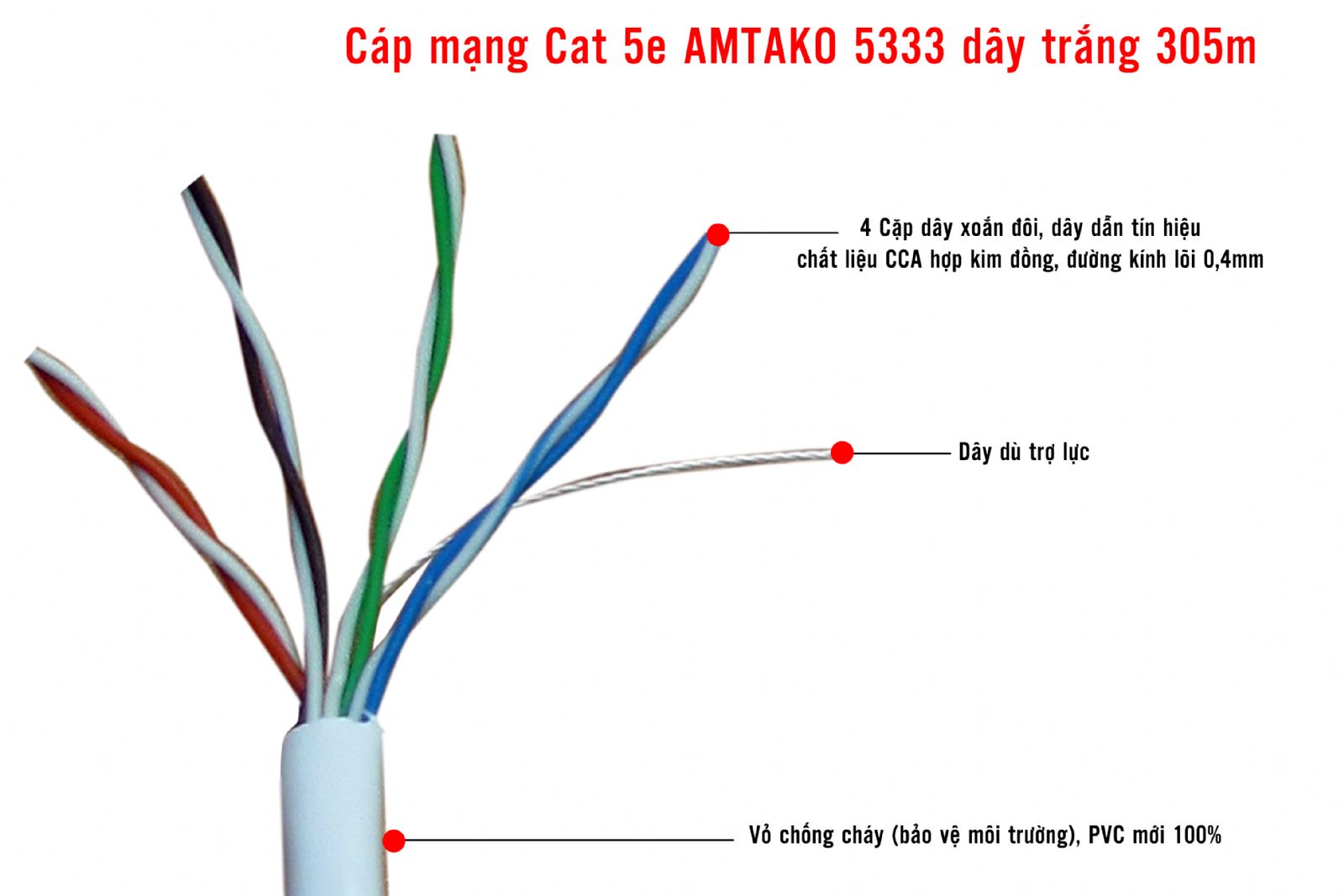 Phân biệt các loại cáp mạng: Cat5, Cat5e, Cat6, Cat6A